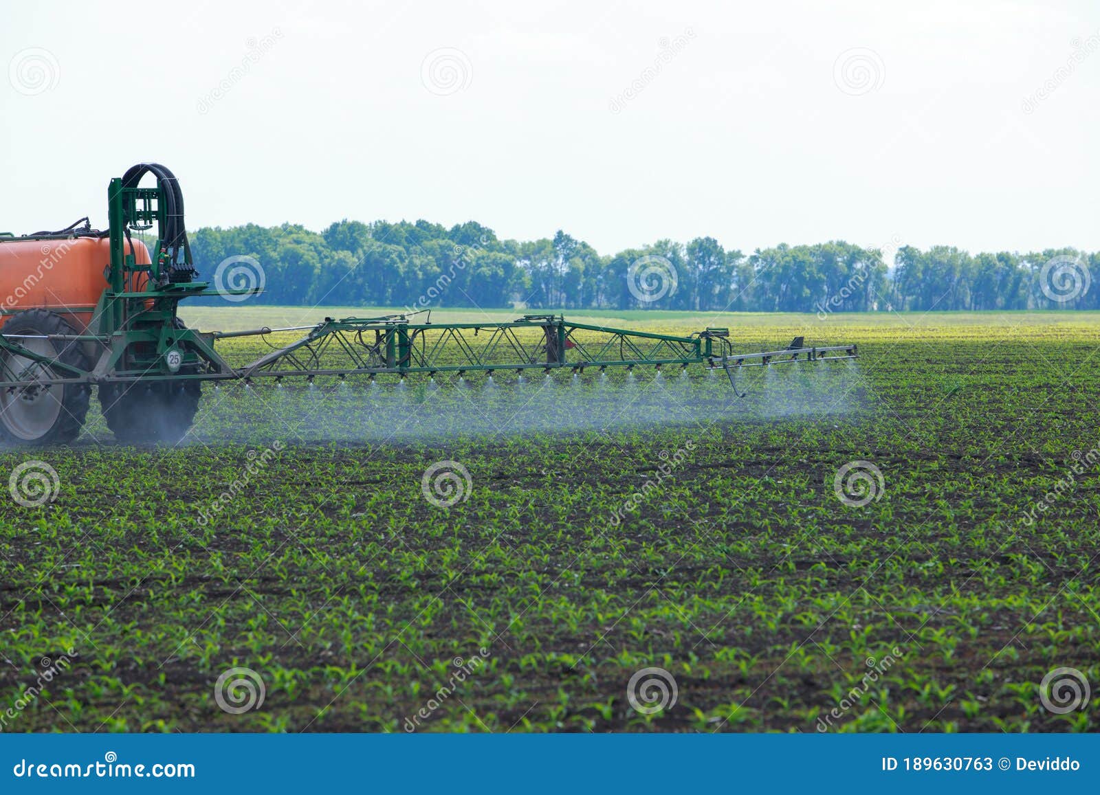 Tractor Spraying a Corn Field Stock Image - Image of farming, corn ...
