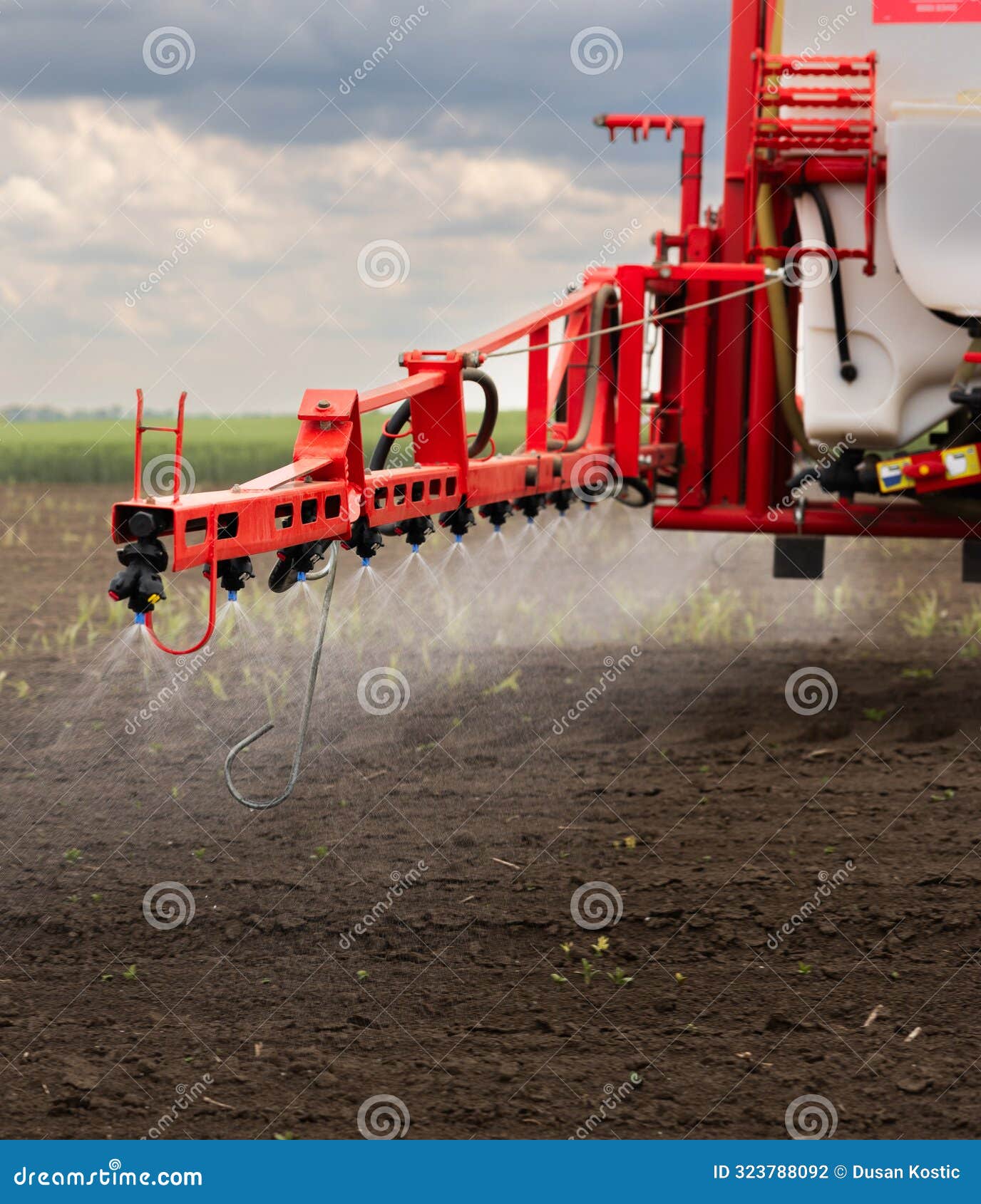 Tractor Spraying Corn Field in Sunset Stock Photo - Image of food ...