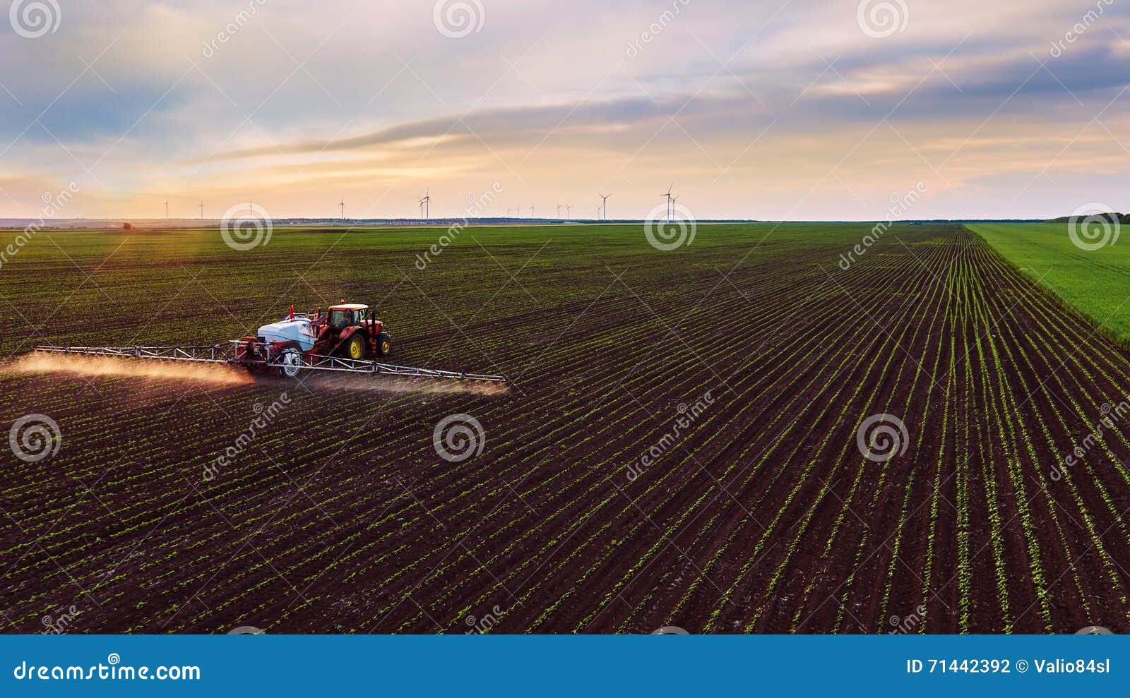 Tractor Spraying Field at Spring Stock Photo - Image of clean, empty ...