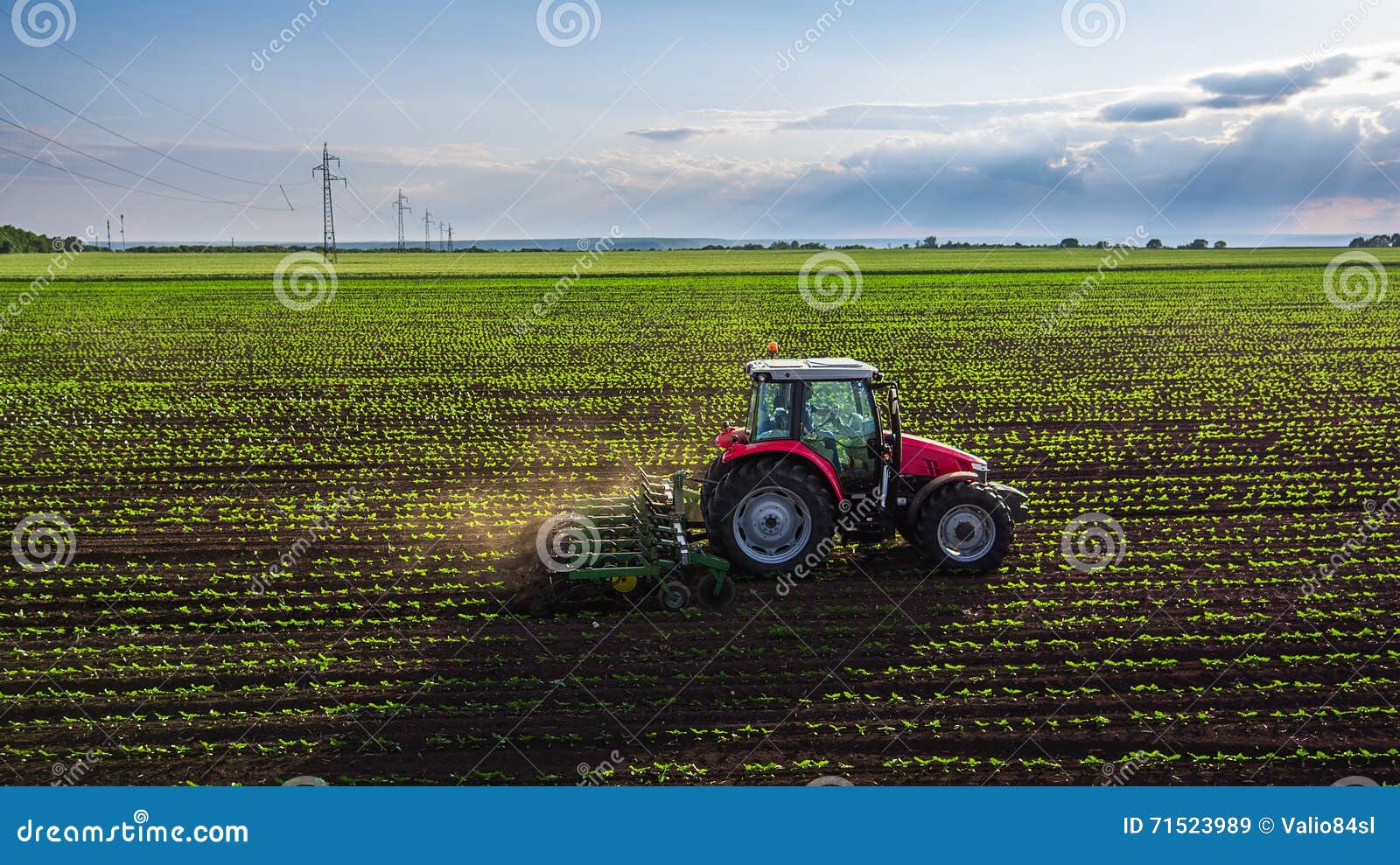 Tractor Spraying Field at Spring Stock Image - Image of crops ...