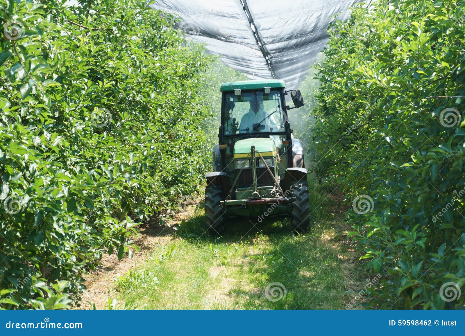 Tractor Spraying Greenhouse Stock Photo - Image of green, country: 59598462