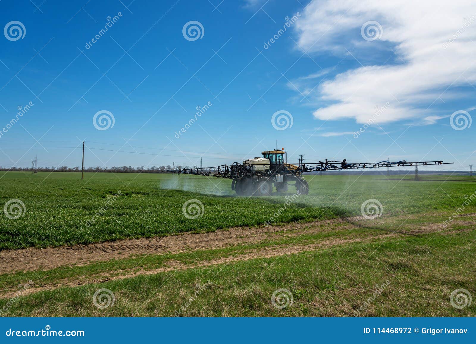 Tractor Spraying Wheat Field. Stock Photo - Image of fertilizer, maize ...