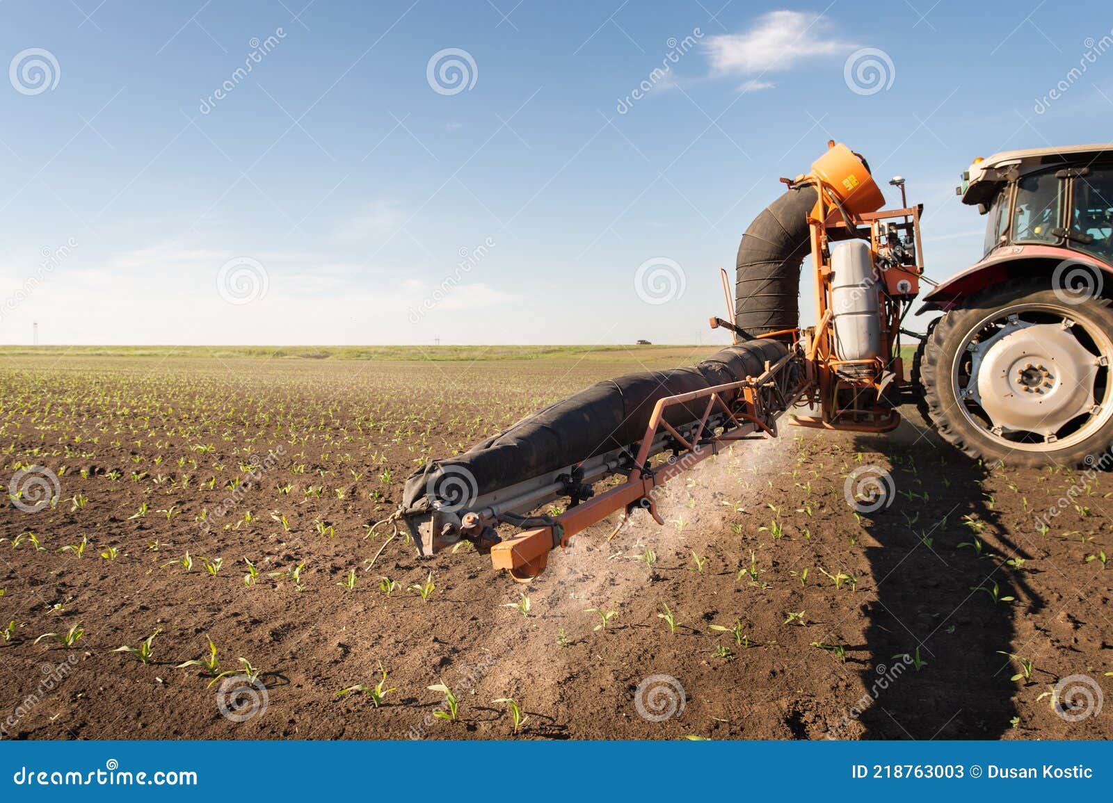 Tractor Spraying Corn Field Stock Image - Image of cultivate, farming ...