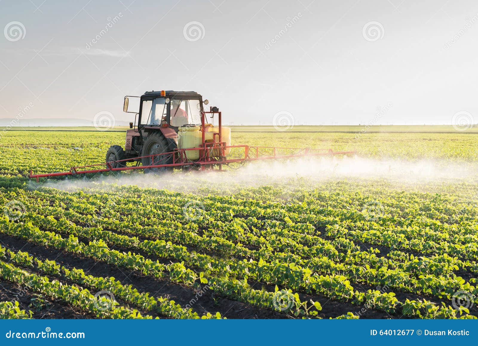 Tractor spraying soybean stock image. Image of scenics - 64012677