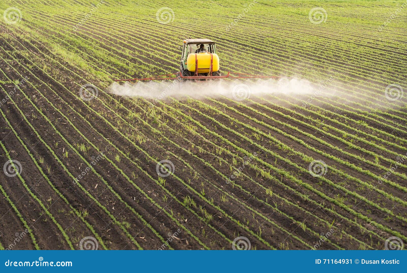 Tractor Spraying Soybean Field Stock Image - Image of scene, season ...