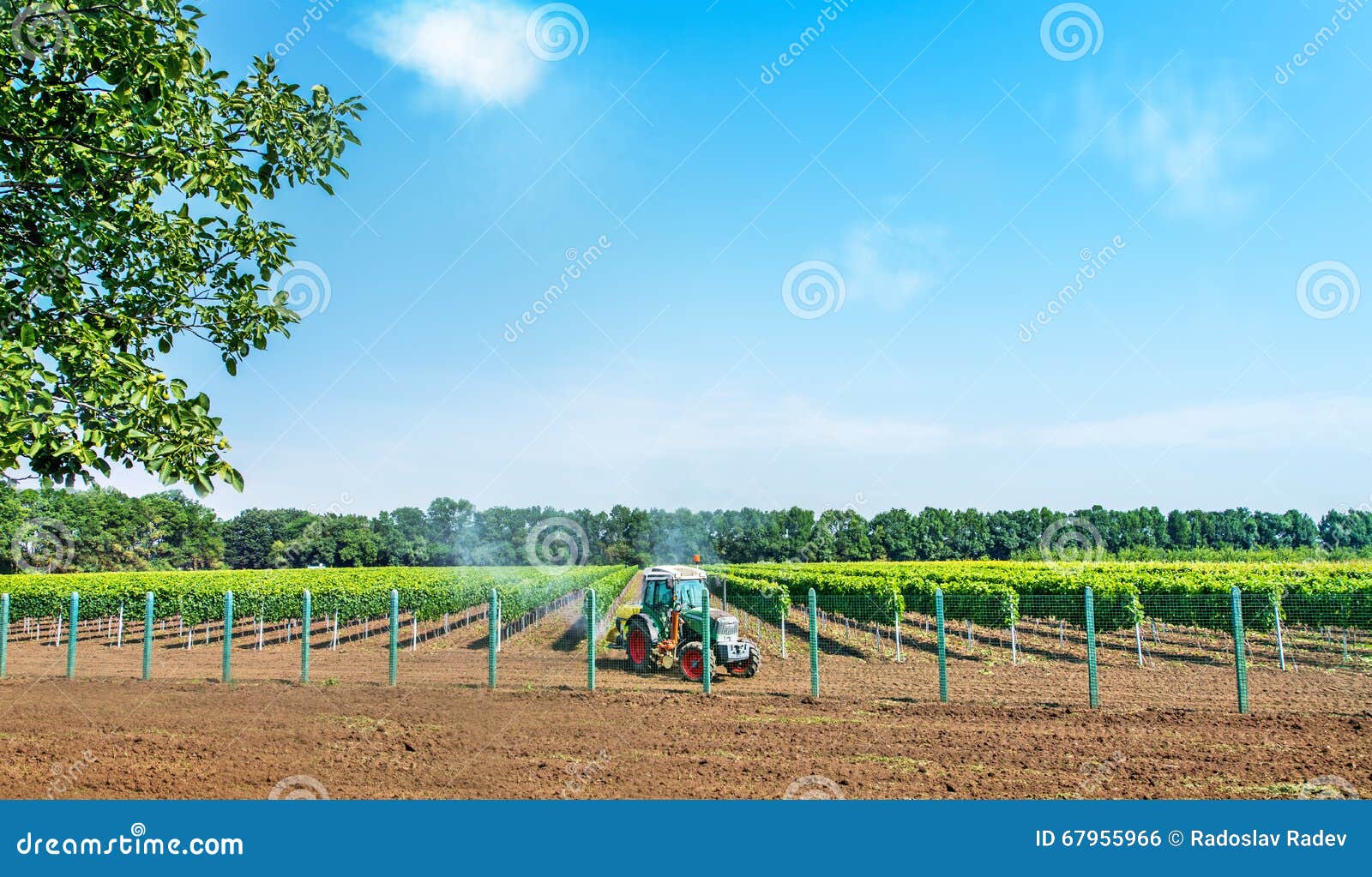 Tractor Spraying with Sprayer. Editorial Photo - Image of environmental ...