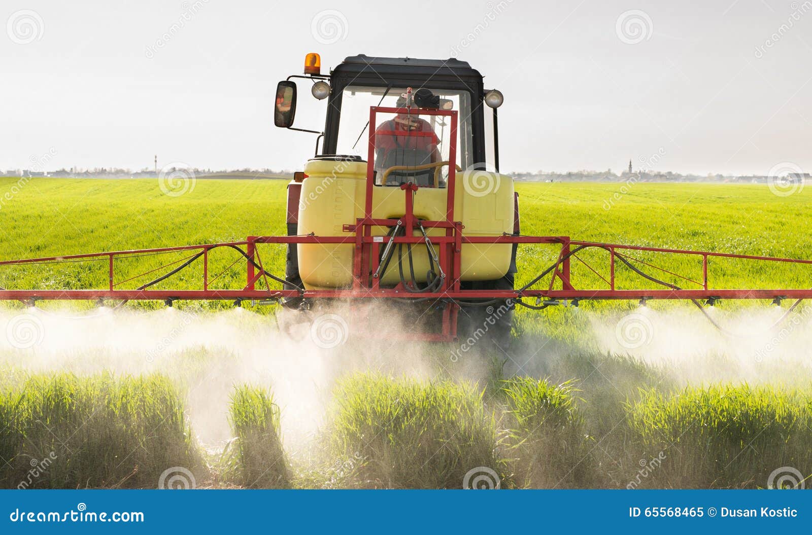 Tractor Spraying Wheat Field Stock Image - Image of village, rural ...