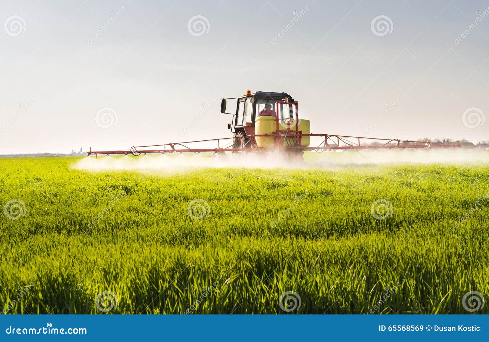 Tractor Spraying Wheat Field Stock Image - Image of grass, farmer: 65568569