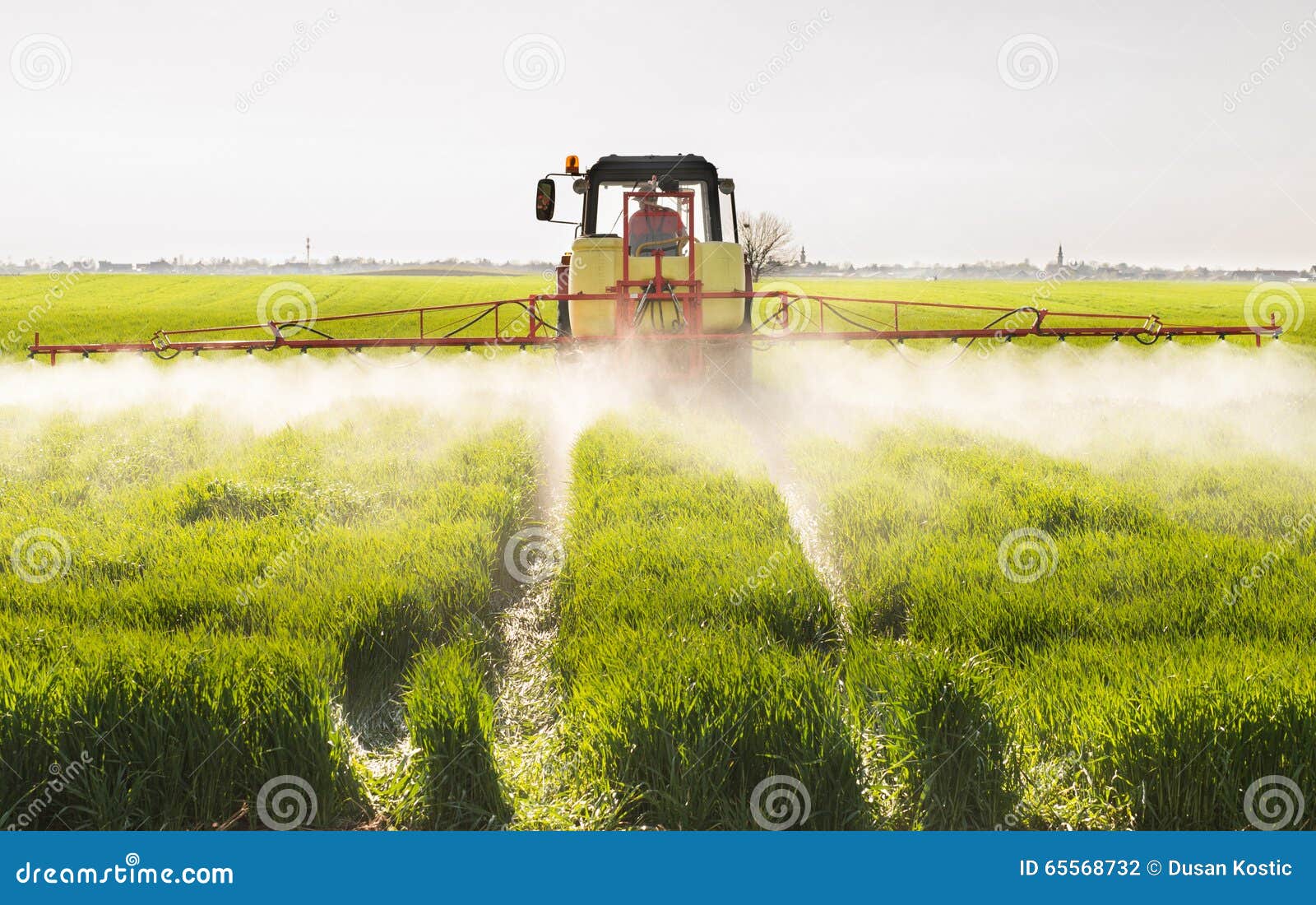 Tractor Spraying Wheat Field Stock Photo - Image of farm, farming: 65568732