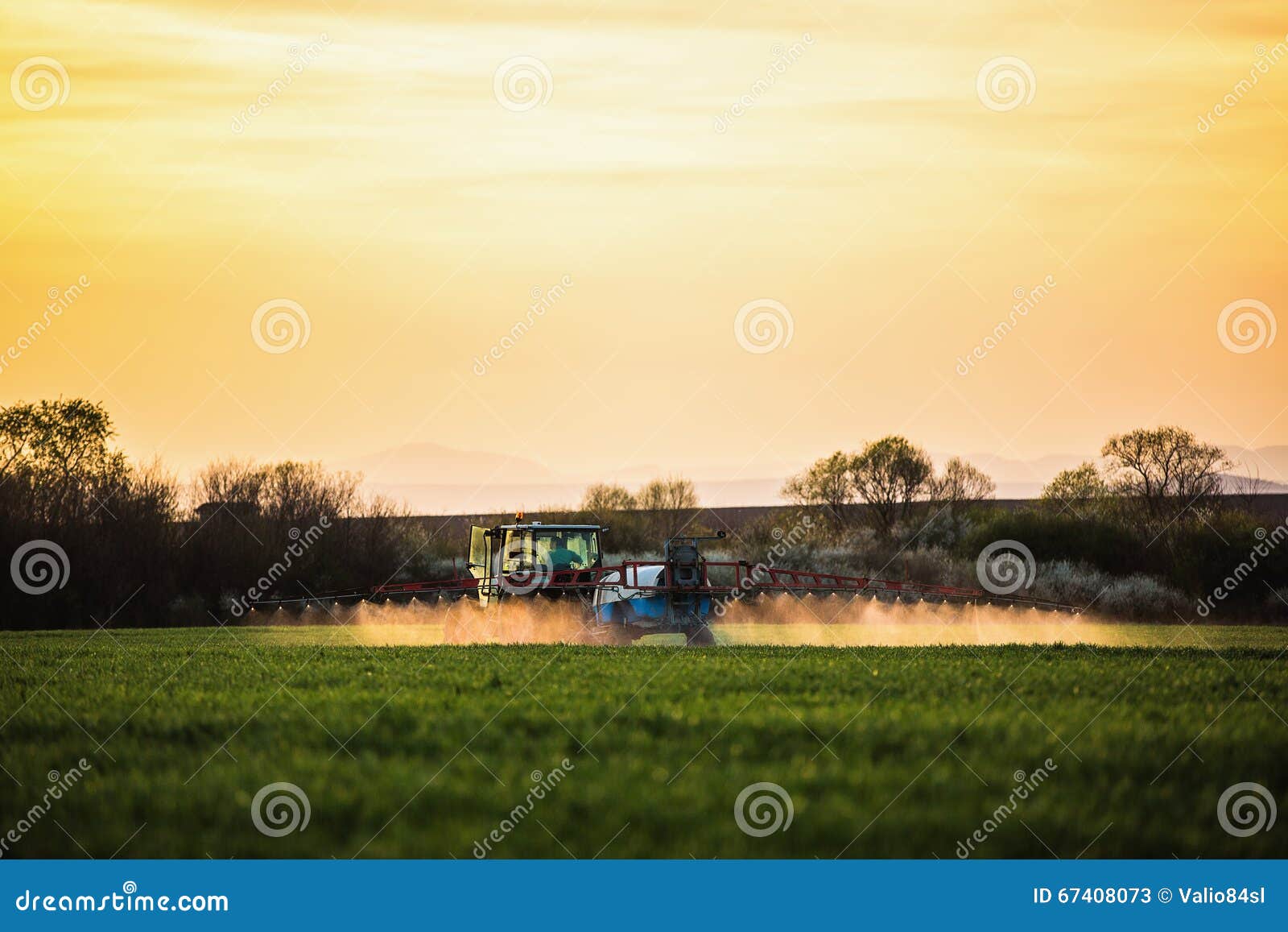 Tractor Spraying Wheat Field with Sprayer Stock Image - Image of plant ...