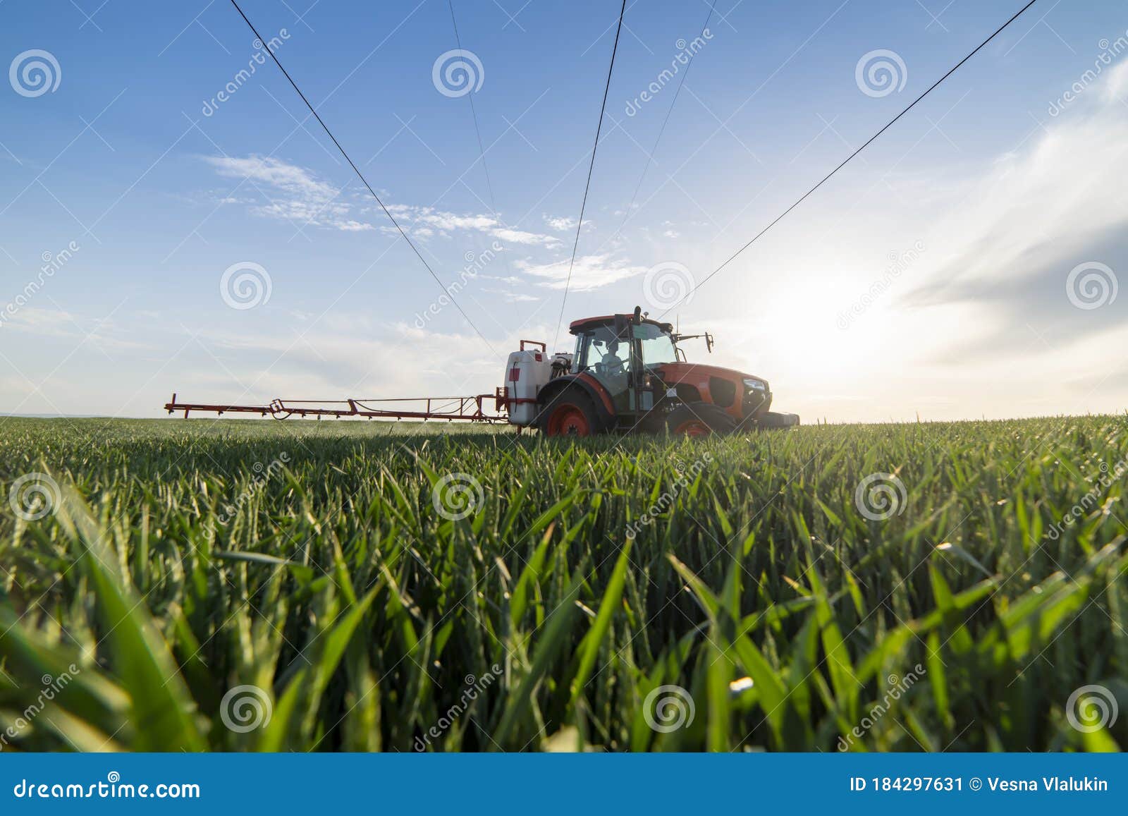 Tractor Spraying Wheat in Field Editorial Photo - Image of farmland ...
