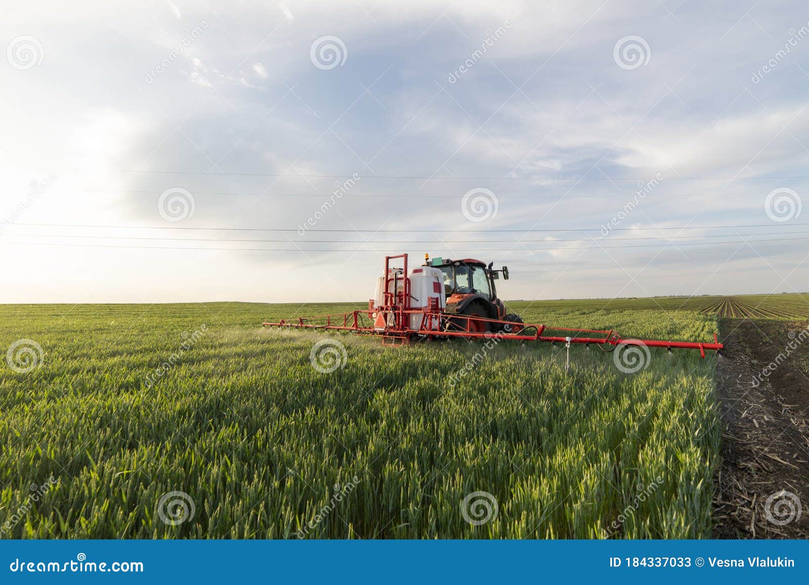 Tractor Spraying Wheat in Field Editorial Stock Photo - Image of ground ...
