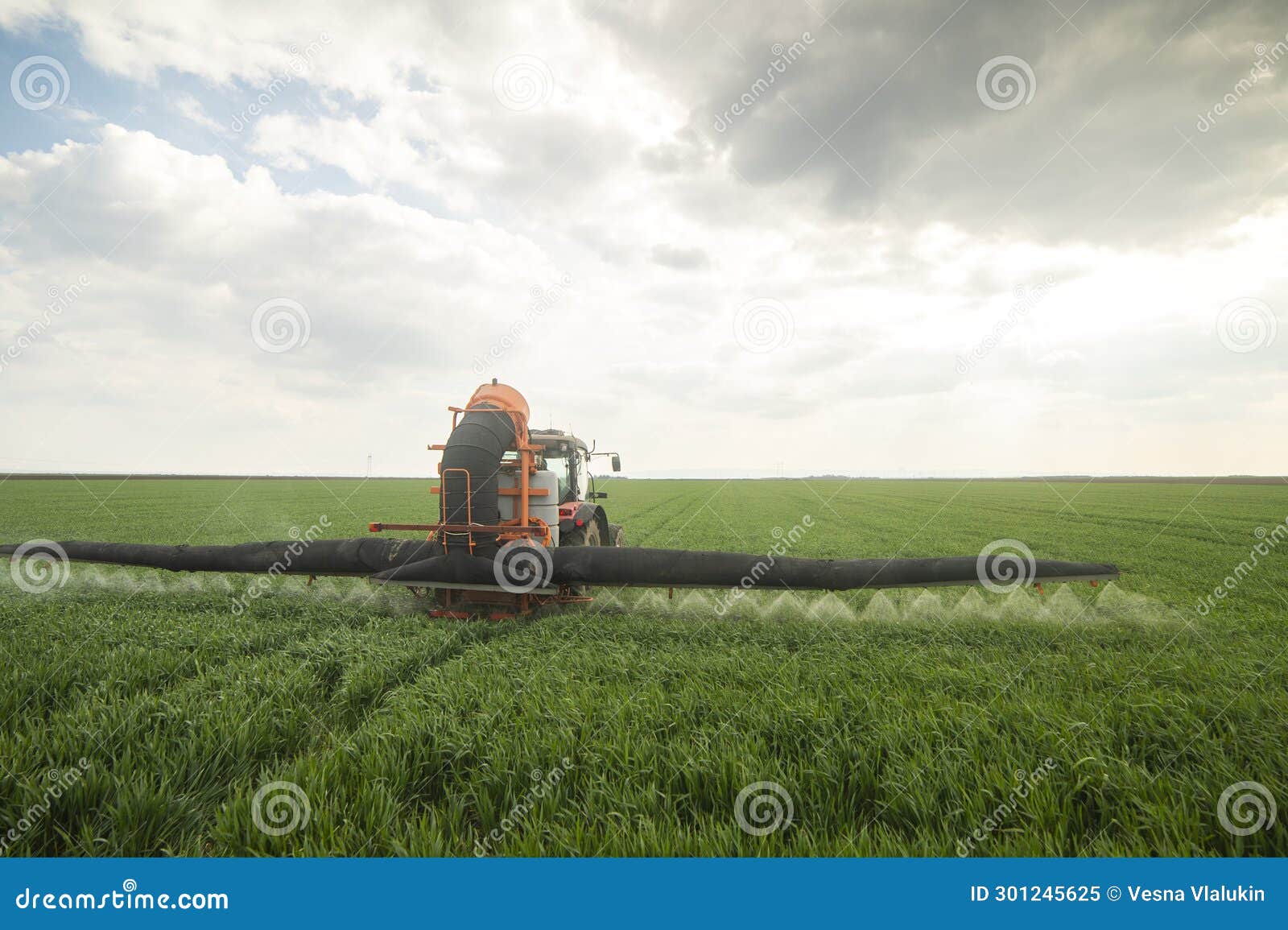 Tractor Spraying Wheat in Field Stock Image - Image of wheat ...