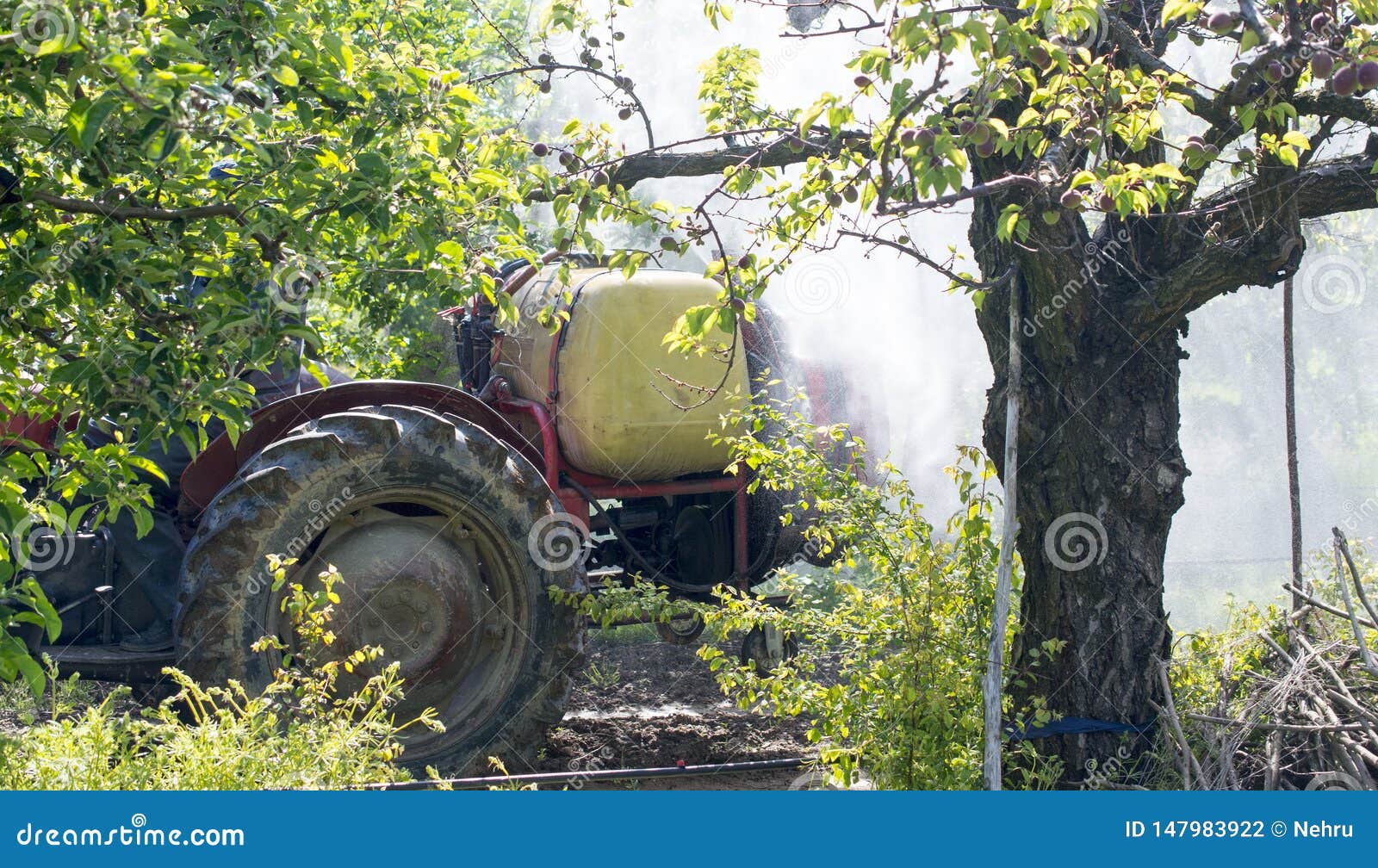 Tractor Sprays Insecticide in Apple Orchard Fields Stock Photo - Image ...