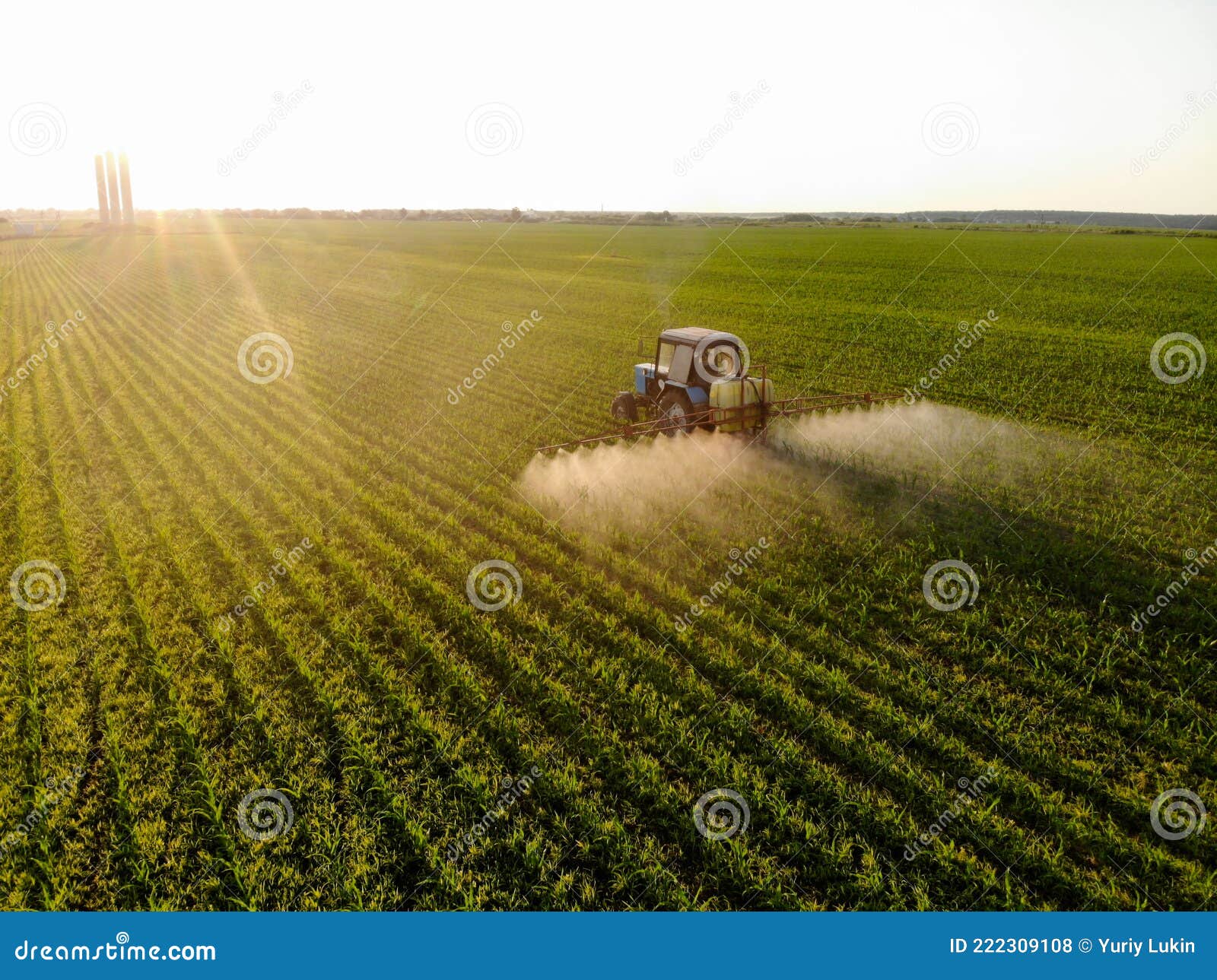 Tractor Sprays Pesticides on Corn Fields at Sunset Stock Photo - Image ...
