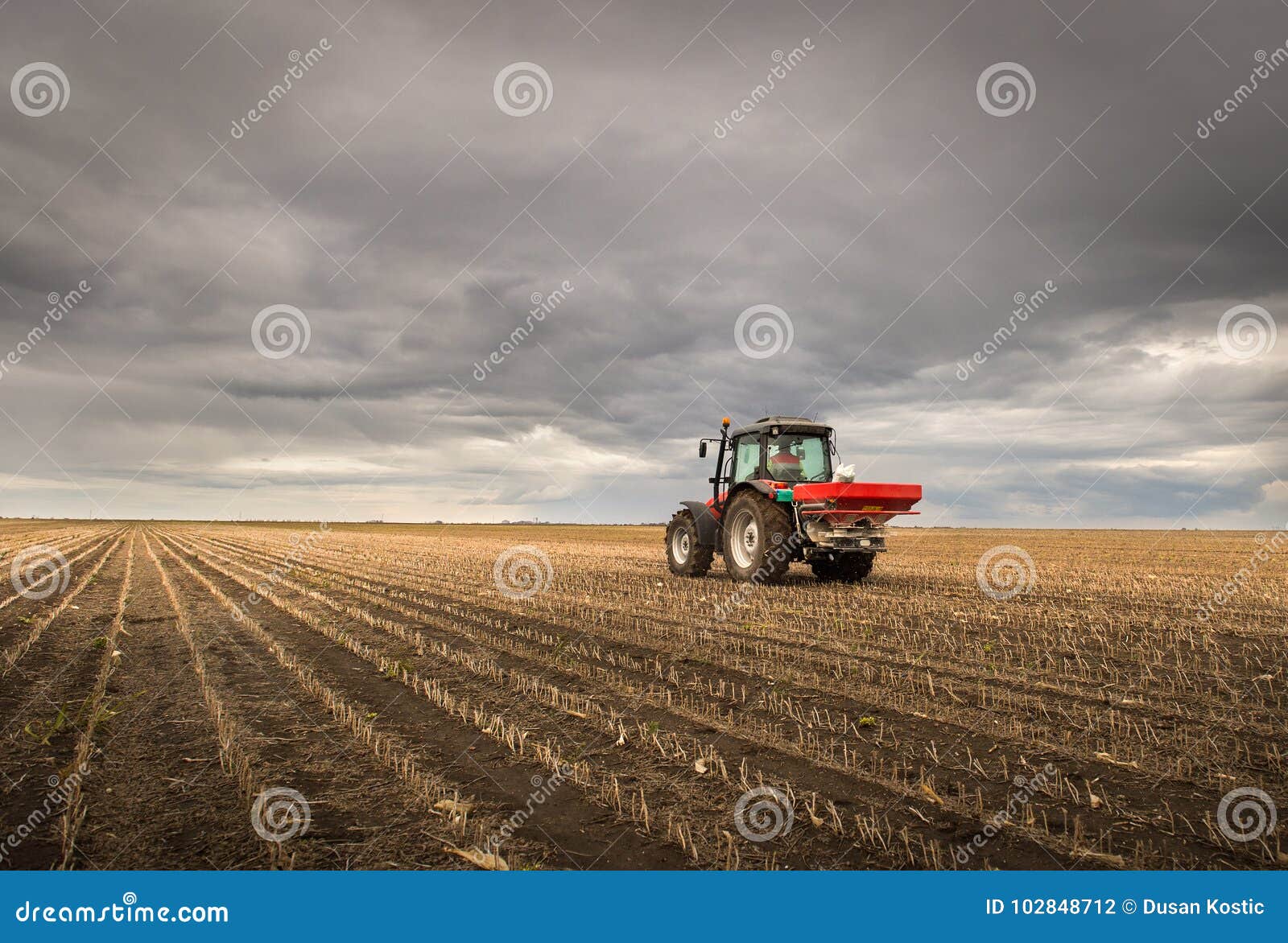 Tractor Spreading Artificial Fertilizers Stock Photo - Image of ...