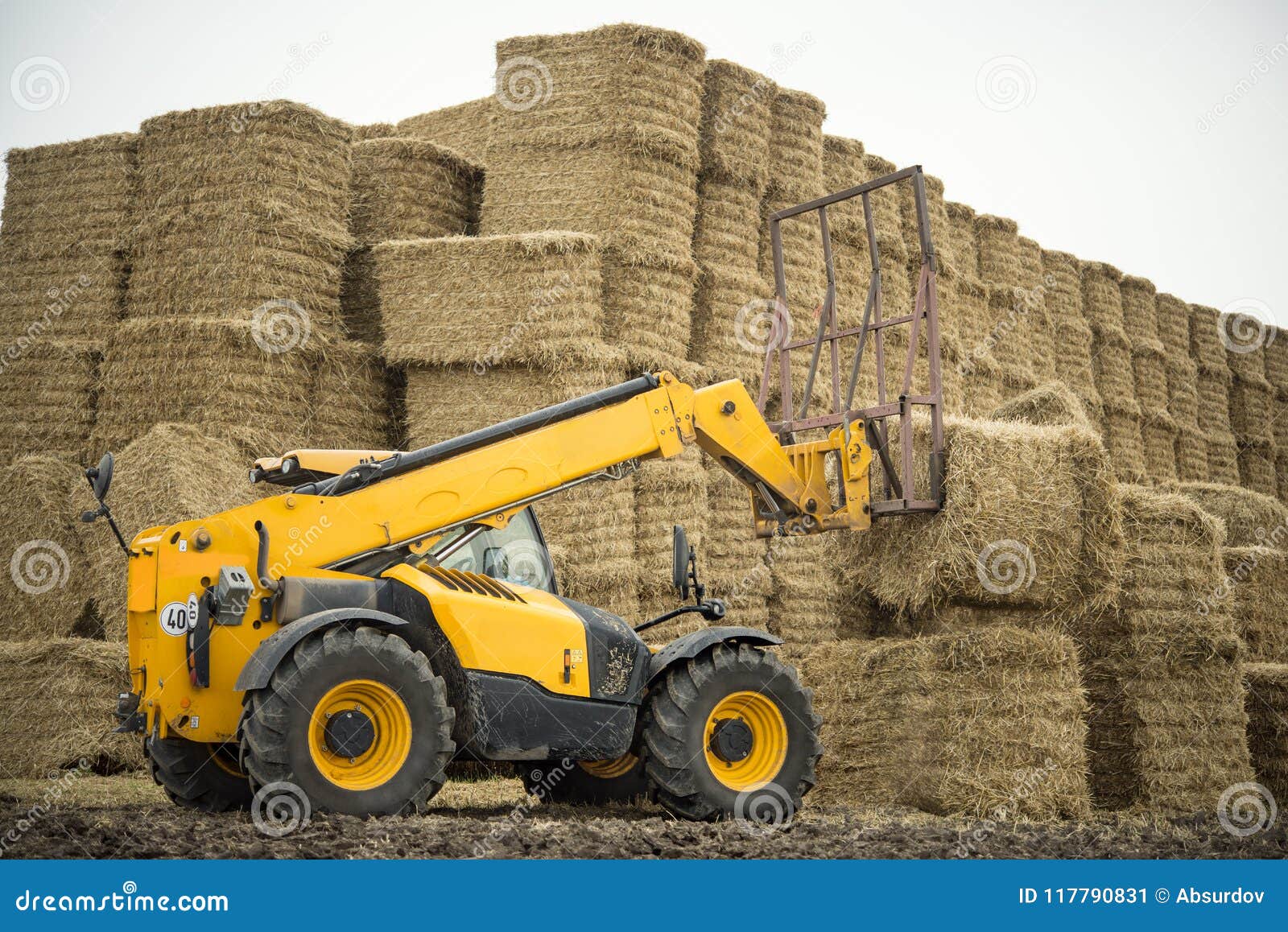 Tractor Stacks Bales of Hay on the Field Stock Image - Image of fall ...