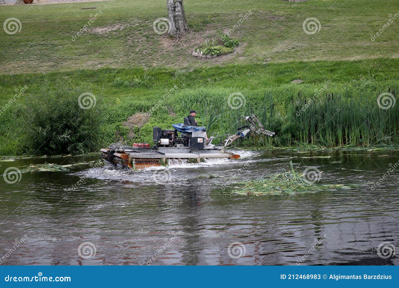 The Tractor Stands in the Tall Grass on the Shore of the Pond 08 17 ...