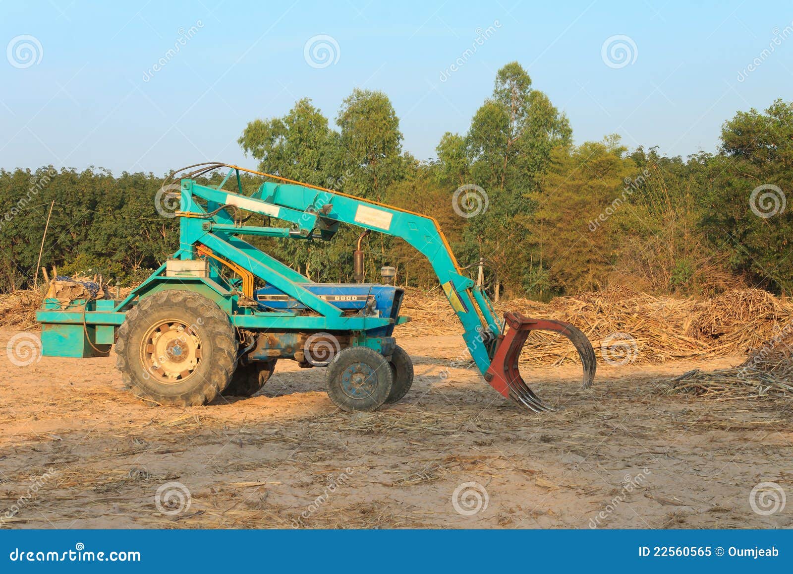Tractor and sugar cane stock image. Image of cultivator - 22560565