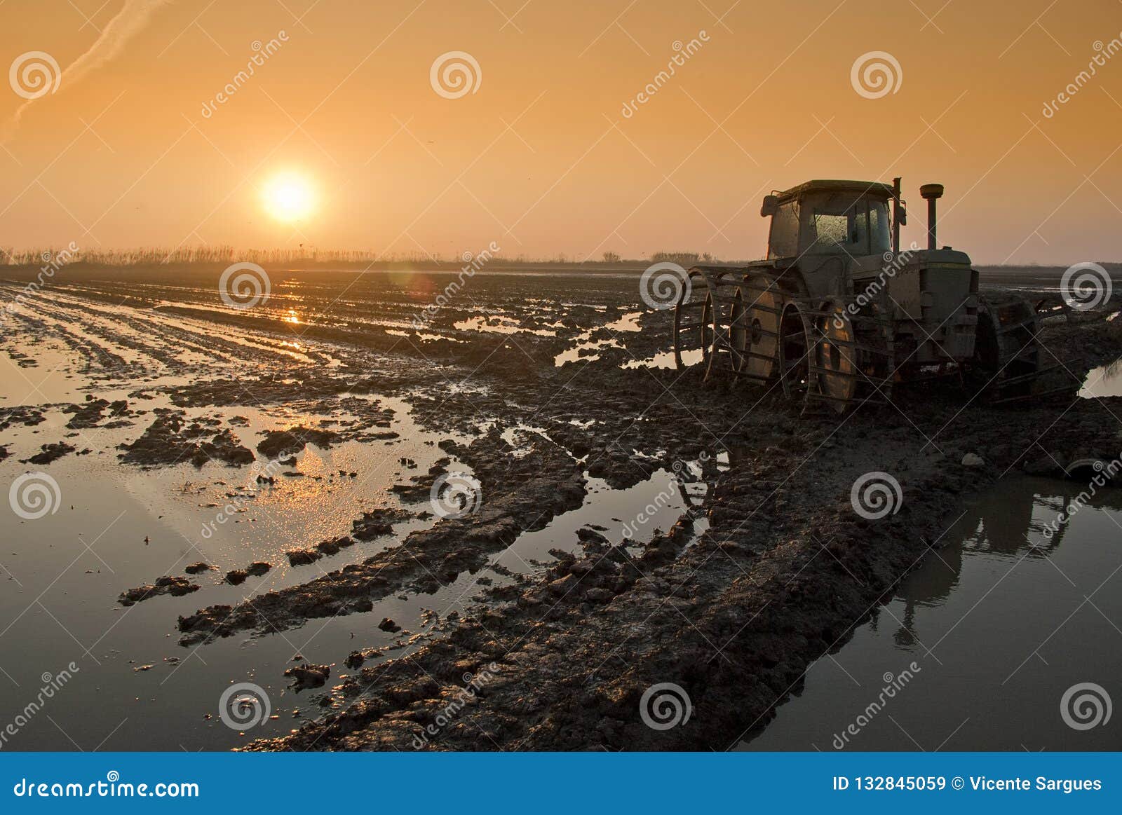 Tractor at sunset with sun stock image. Image of land - 132845059