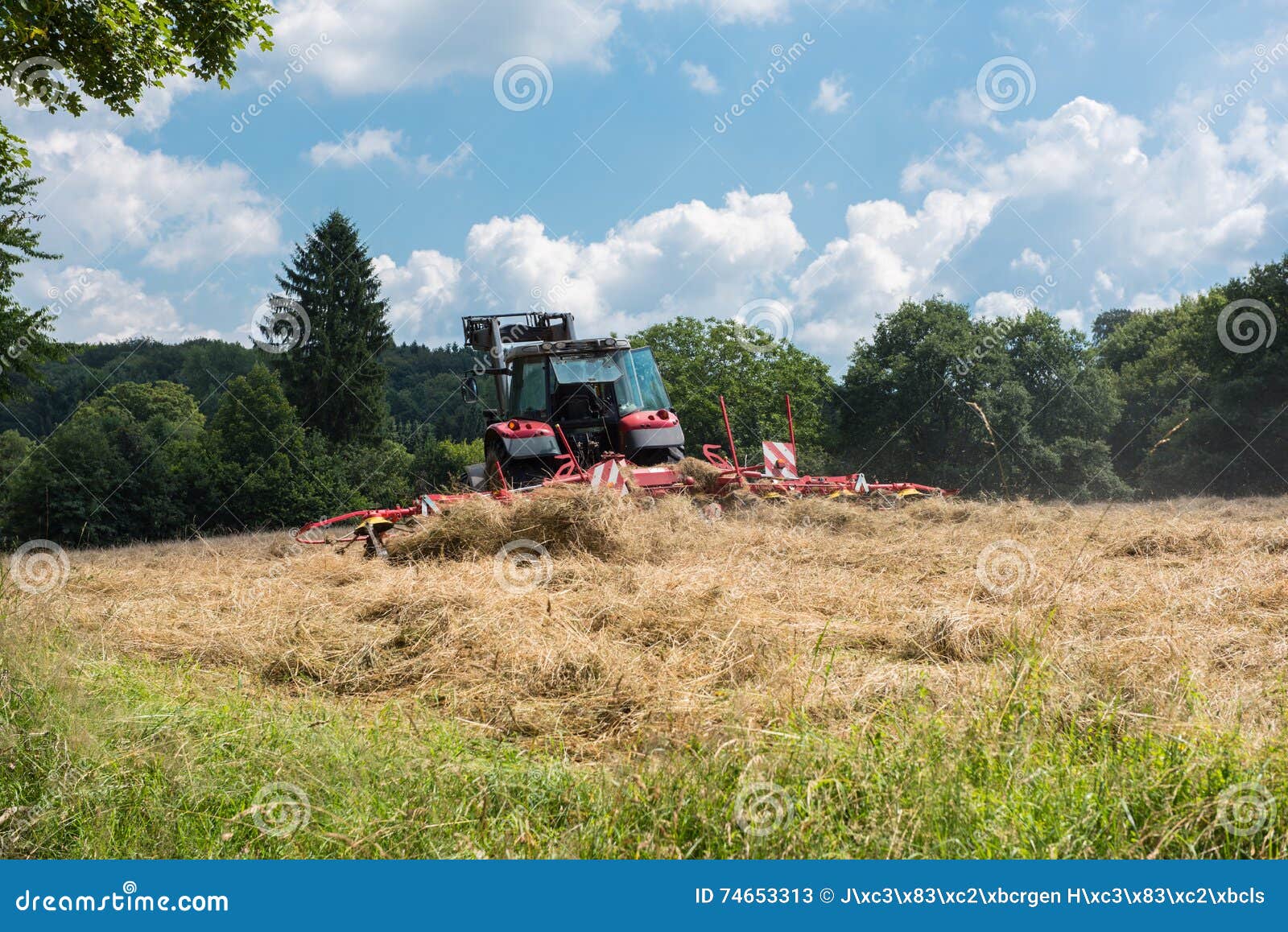 Tractor with Tedder Turning Hay on the Meadow Stock Image - Image of ...