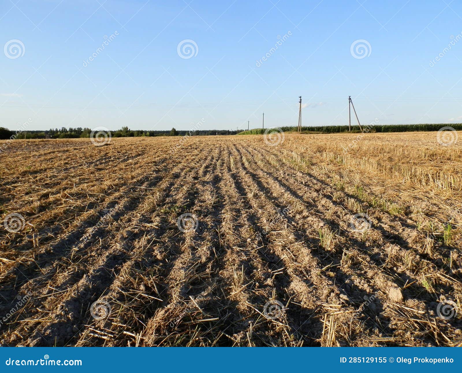Tractor Tilled Wheat the Field Stock Image - Image of vehicle, land ...