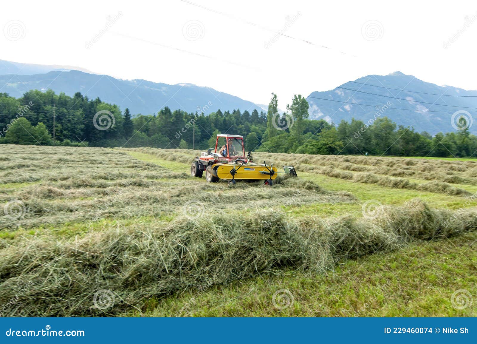 Tractor tilling field editorial stock image. Image of driving - 229460074