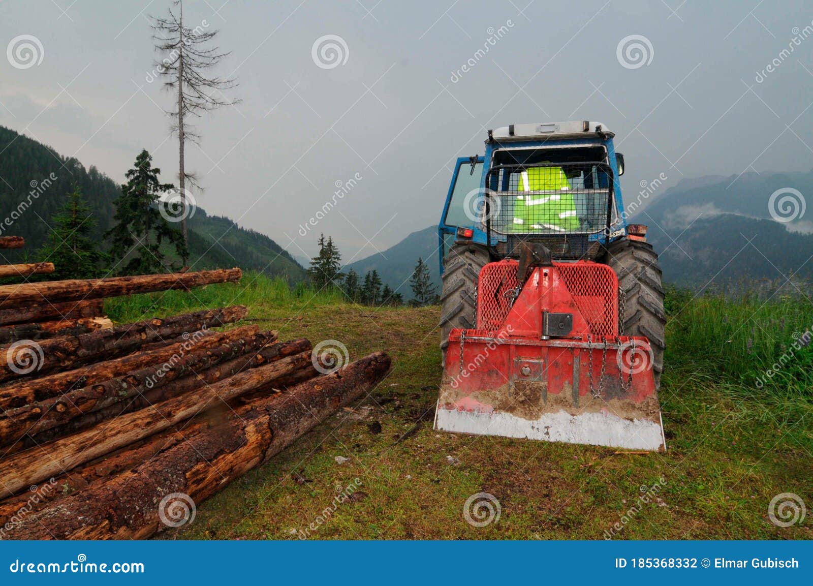 Tractor during the Timber Harvesting Stock Photo - Image of road ...