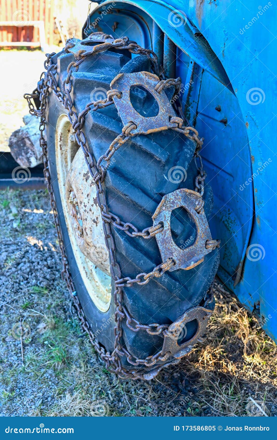 Tractor Tire with Chains on Blue Tractor Stock Image - Image of sweden ...