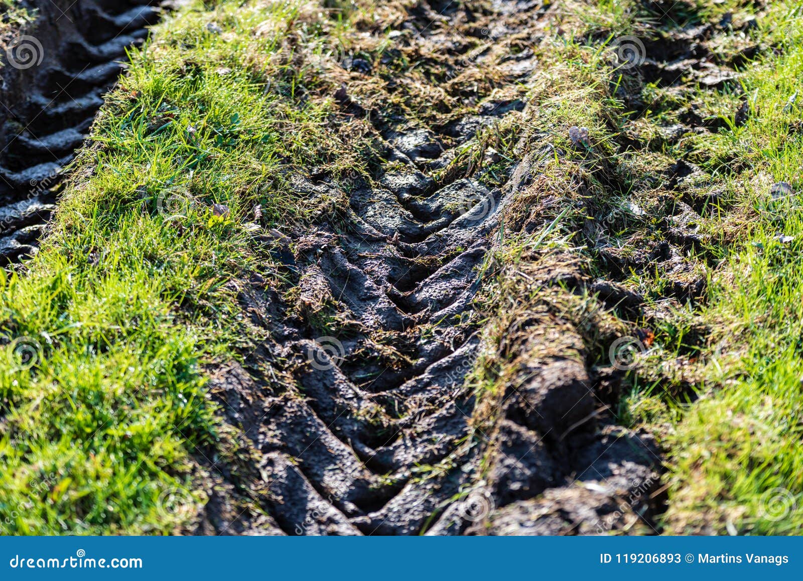 Tractor Tire Tracks in Green Grass Stock Image - Image of concept ...