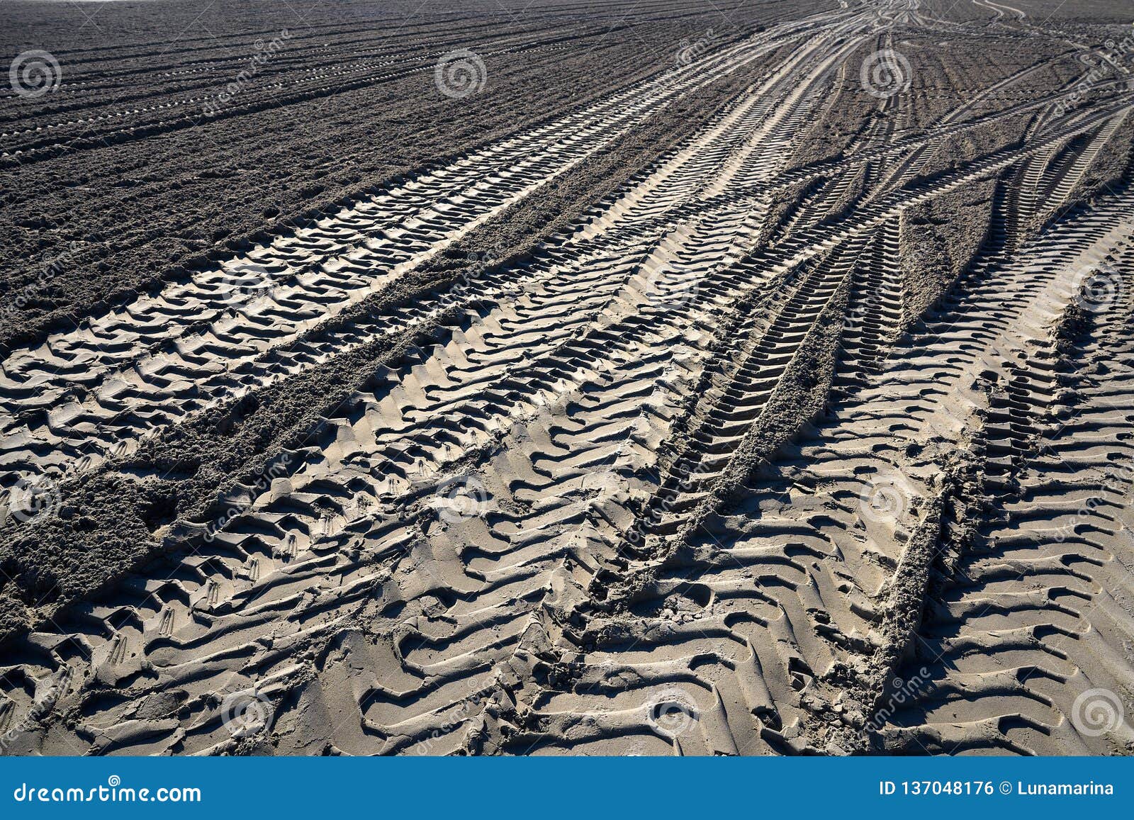 Tractor Tire Tracks Prints on Beach Sand Stock Photo - Image of road ...