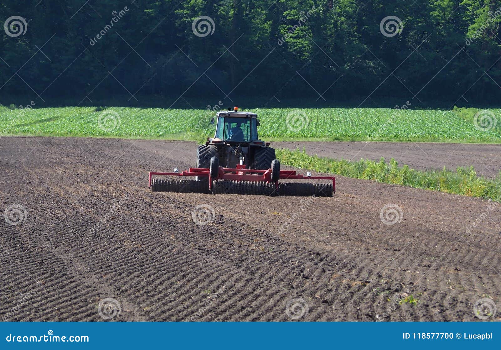 Tractor with a Towing Roller Compactor Makes the Surface of the Plowed ...