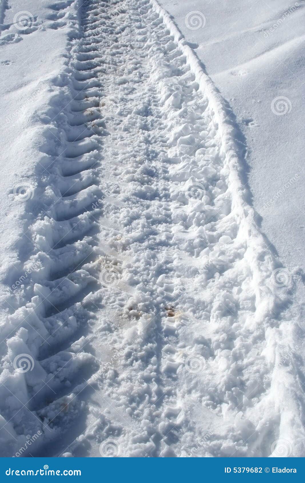 Tractor trace at snow stock photo. Image of arctic, clear - 5379682