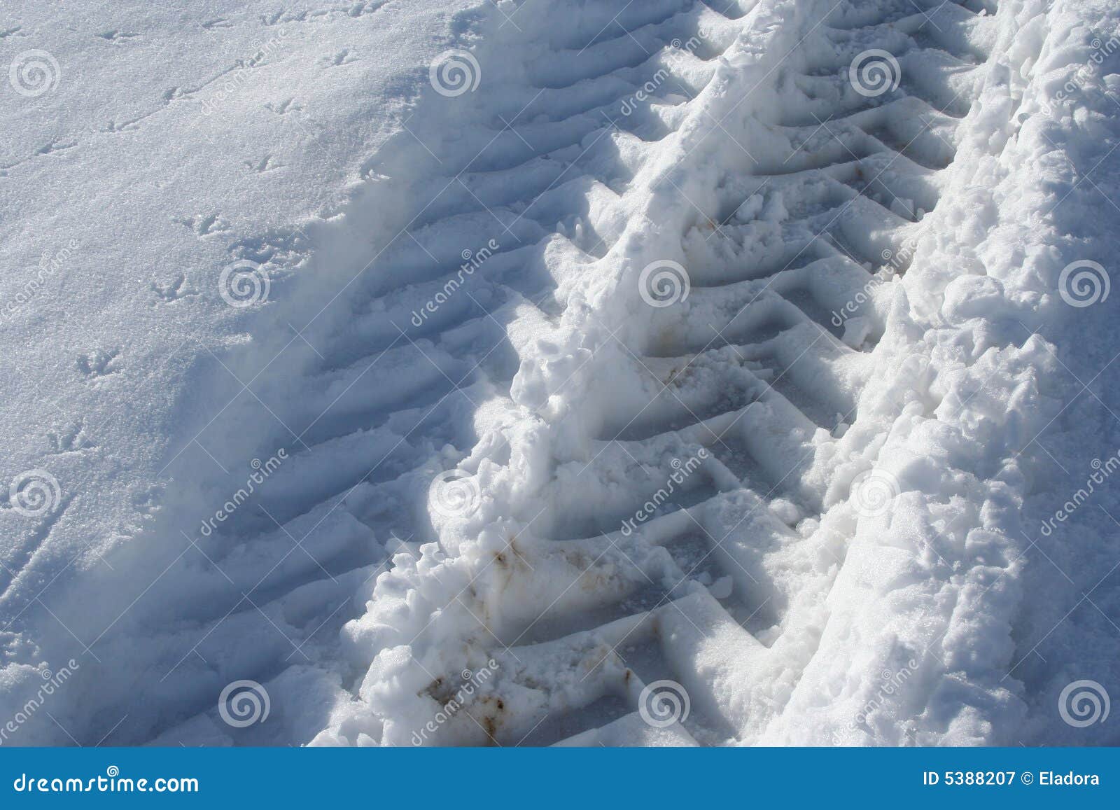 Tractor trace at snow stock image. Image of midwest, sidewalk - 5388207