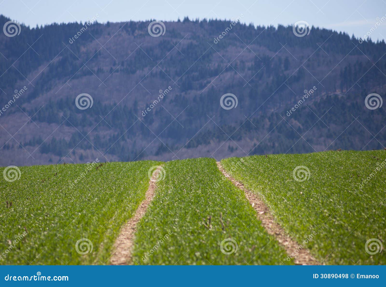 Tractor track on field stock photo. Image of groove, brown - 30890498