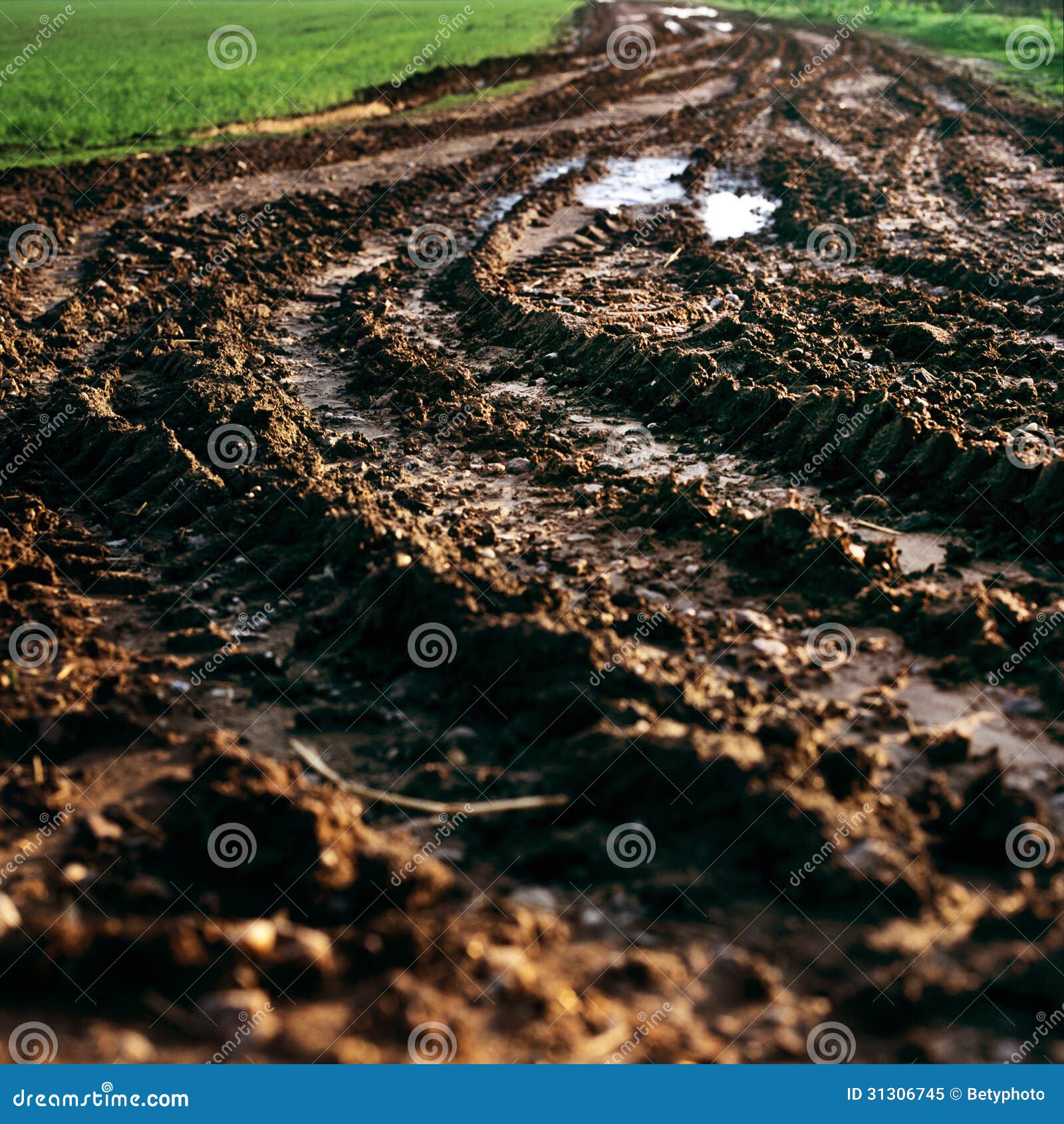Tractor Track Mud Field Farming Ecology Stock Image - Image of marks ...