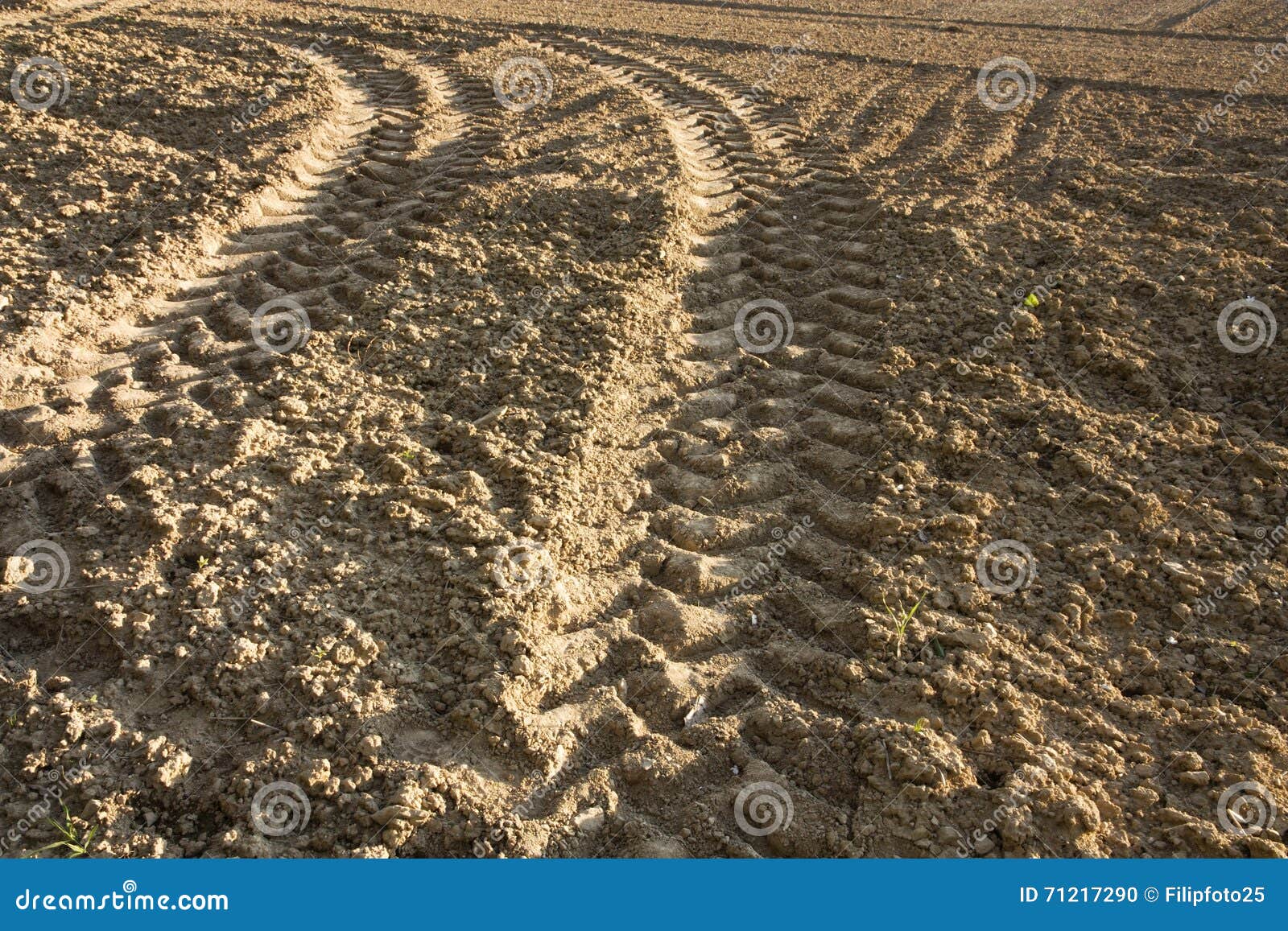 Tractor tracks stock photo. Image of empty, heavy, field - 71217290