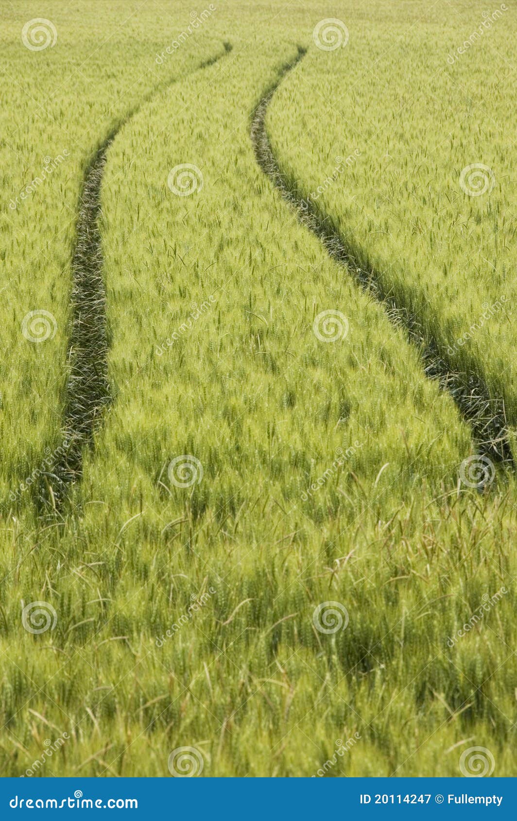 Tractor Tracks Texture Royalty-Free Stock Photo | CartoonDealer.com ...
