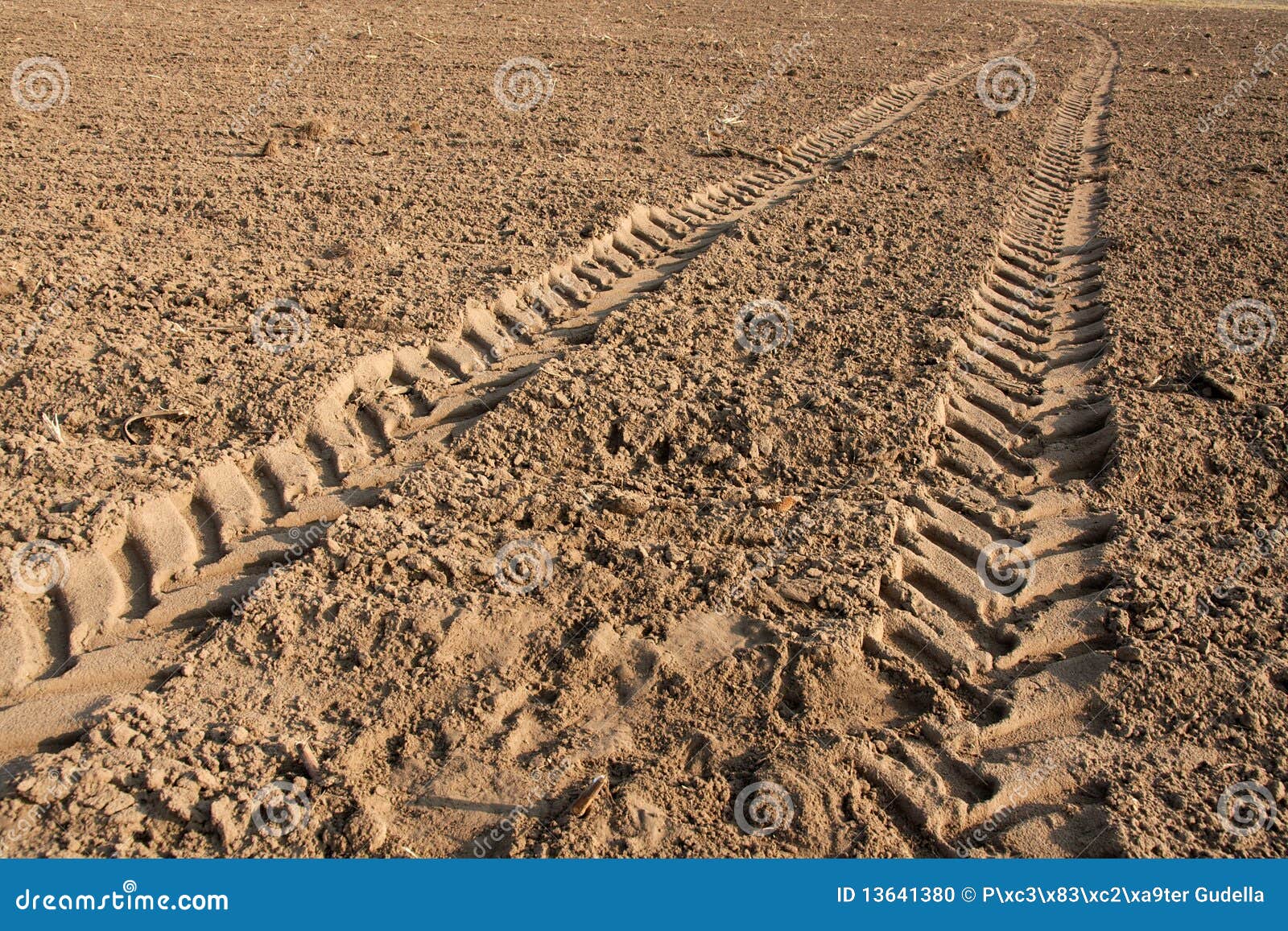 Tractor trail stock photo. Image of country, farm, agriculture - 13641380