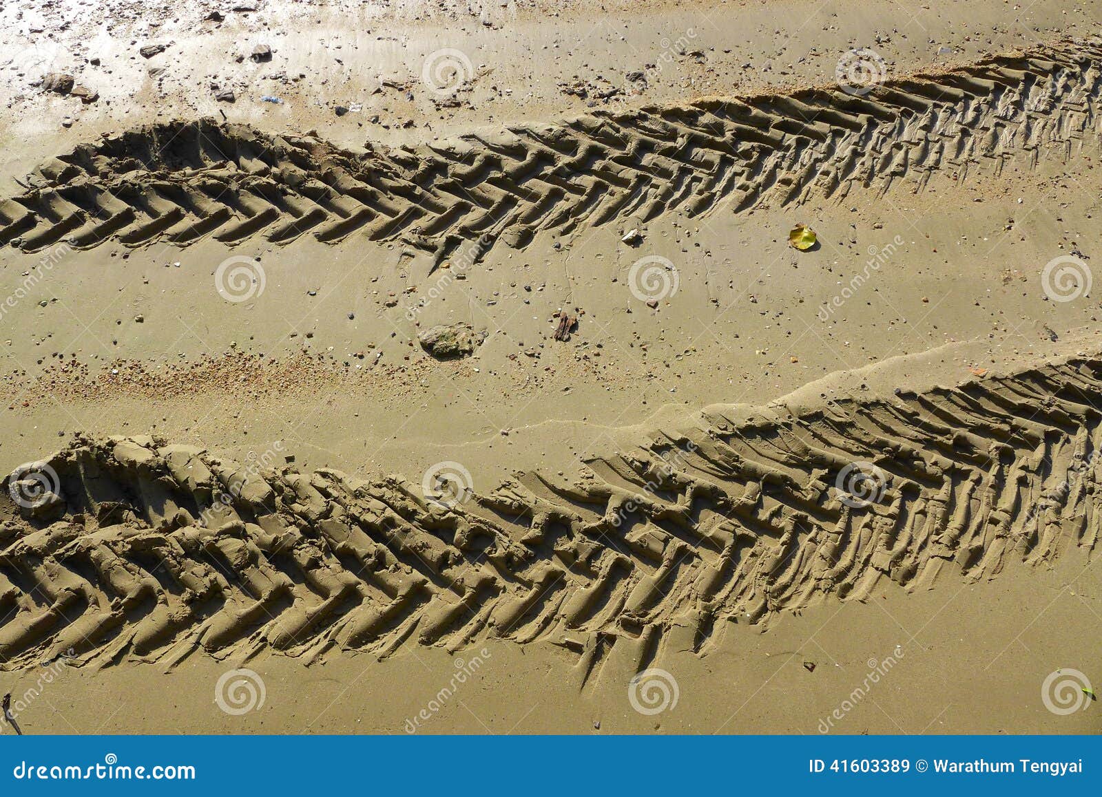 Tractor trail stock image. Image of sand, tractor, pair - 41603389