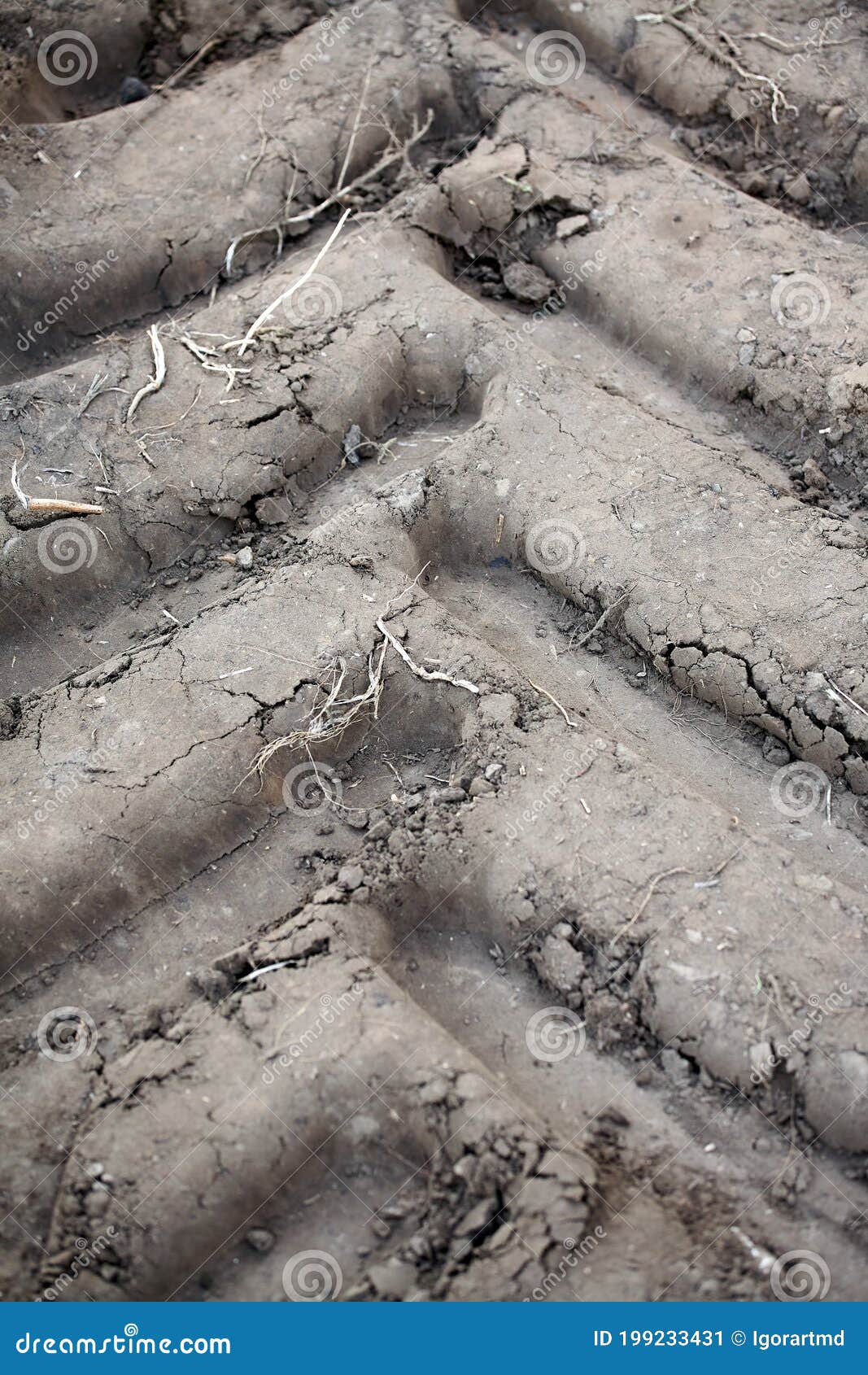 Tractor Trail Closeup on the Muddy Ground Stock Image - Image of grunge ...