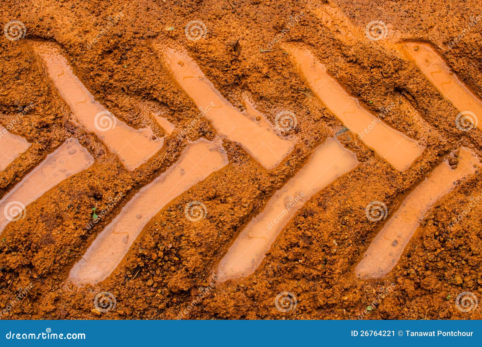 Tractor Trail on the Muddy Ground Stock Image - Image of muddy ...