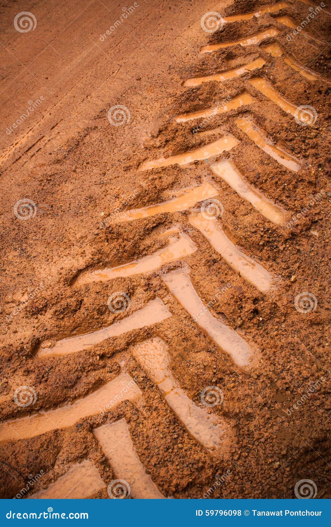 Tractor Trail Stock Image | CartoonDealer.com #41603389