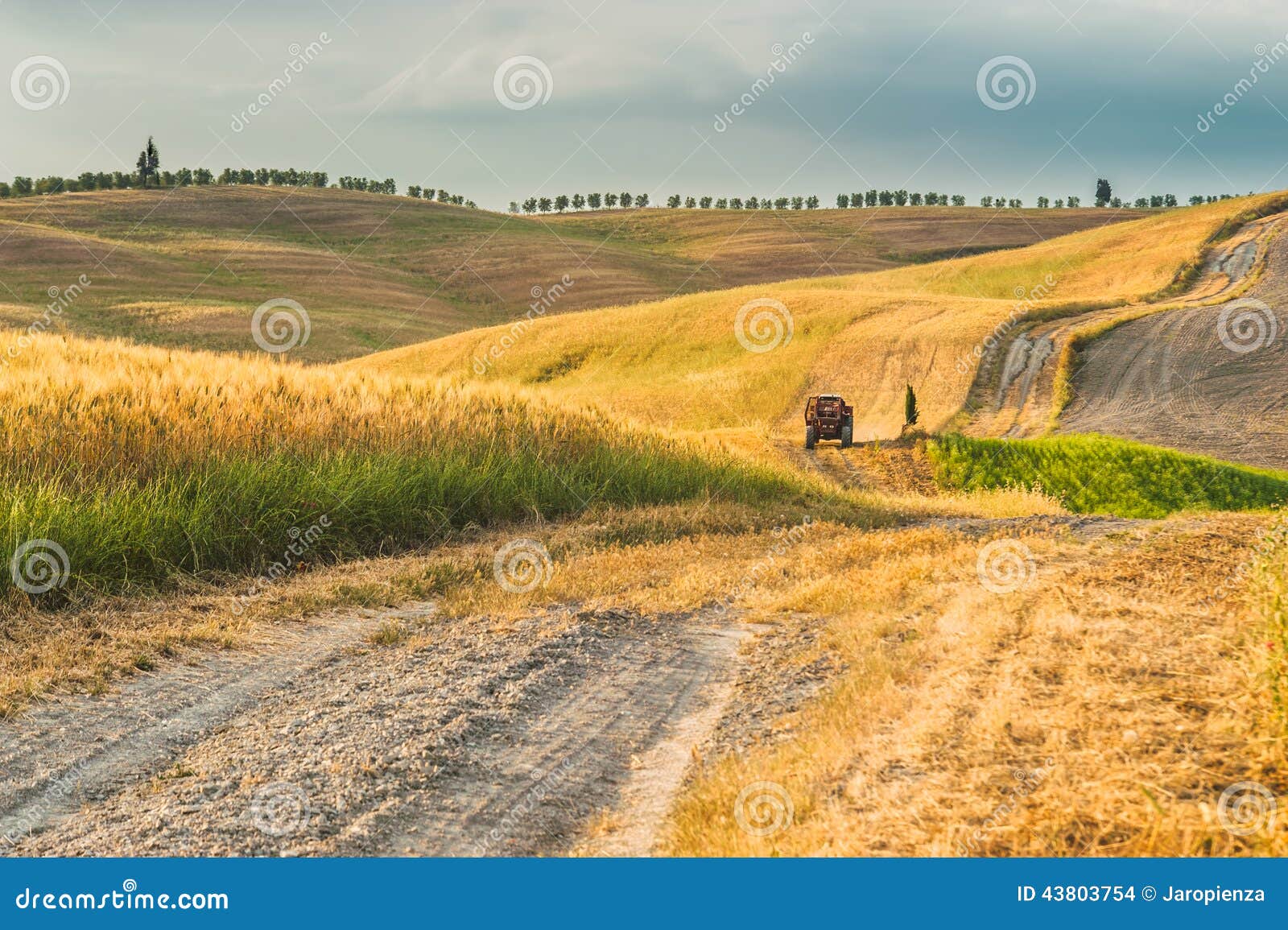 Tractor with a Trailer on the Fields in Tuscany, Italy Stock Photo ...