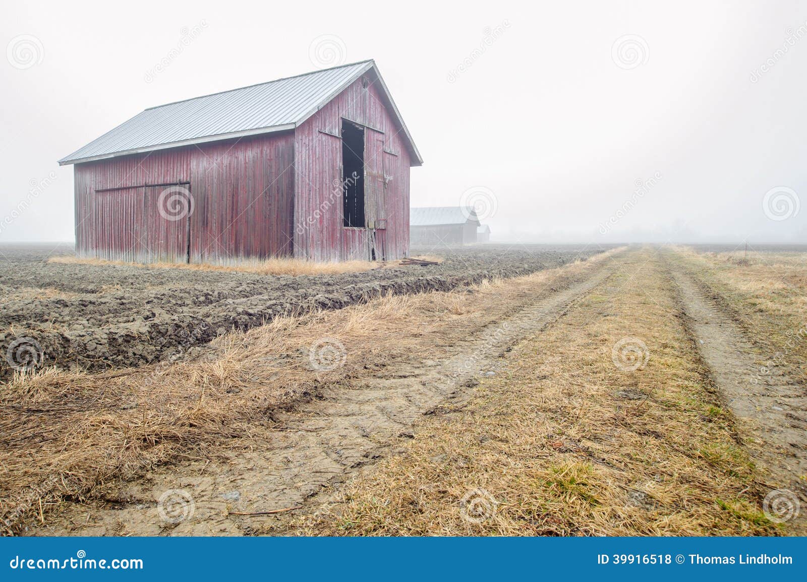 Tractor trails stock photo. Image of seasons, misty, farming - 39916518