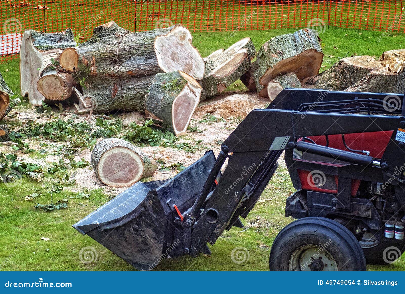 Tractor tree clean up stock photo. Image of logging, chopped - 49749054