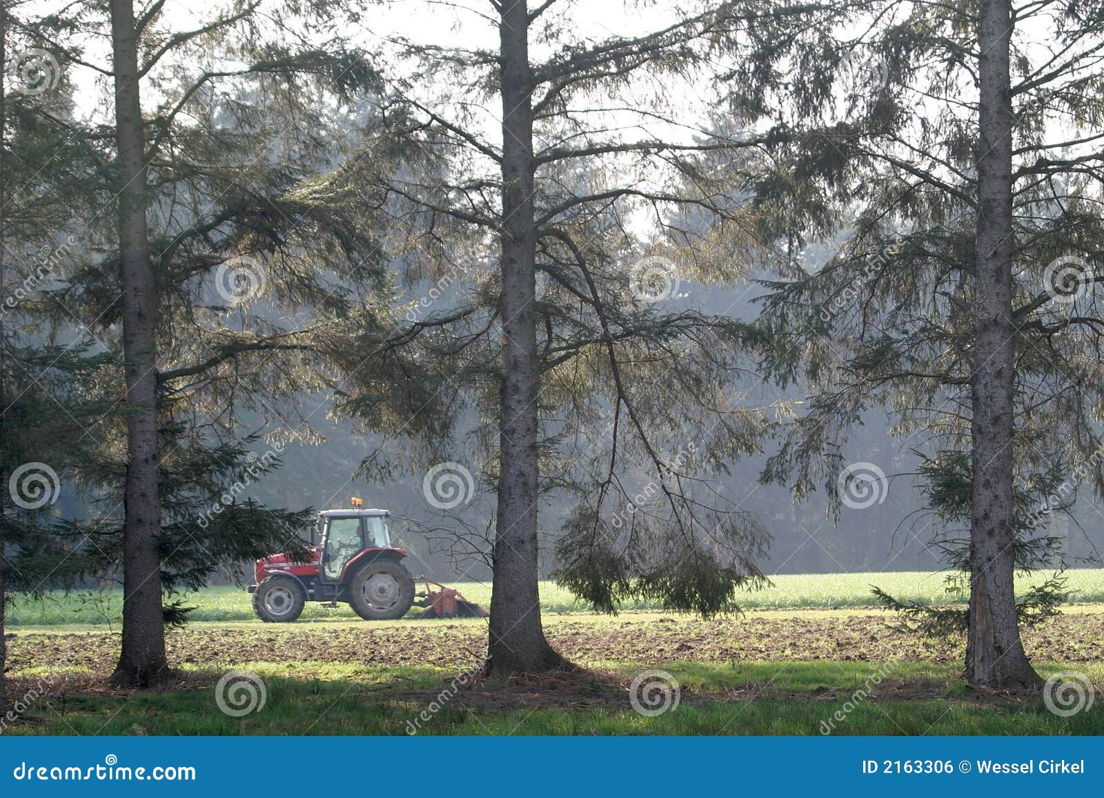 Tractor between the trees stock photo. Image of farmland - 2163306