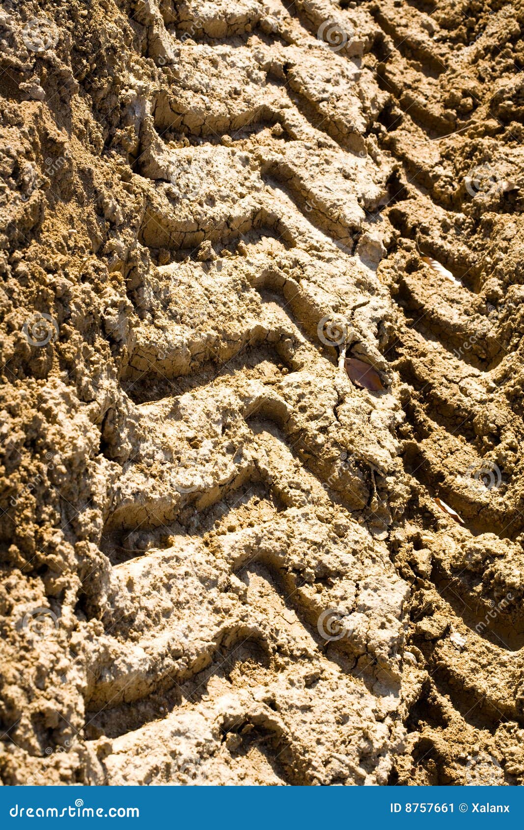 Tractor tyre tracks stock image. Image of dirty, terrain - 8757661