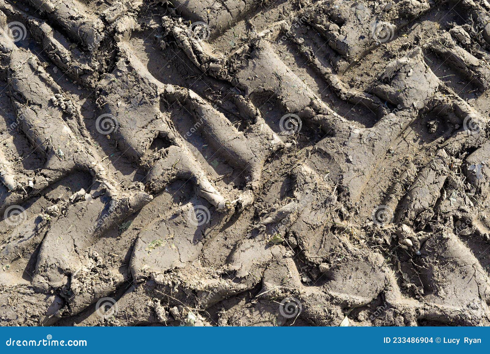Tractor Tyre Tracks in Deep Mud Stock Photo - Image of tractor, tracks ...