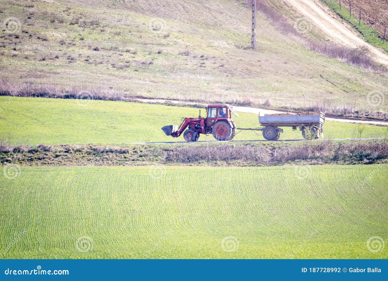 Tractor in a village field stock photo. Image of rooster - 187728992